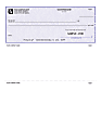 Custom Laser Multipurpose Voucher Checks With Lines For Quicken ...
