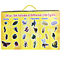 Insect Lore Life Cycle Figurines Set Of 24 Figurines - Office Depot
