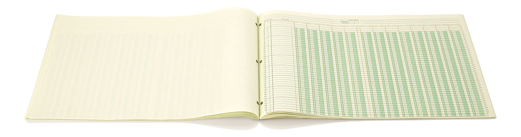 Wilson Jones Columnar Pad Side Bound With Shaded Columns 11 x 16 38 13 ...