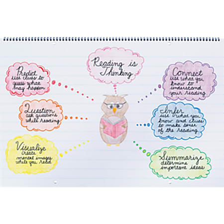 Pacon Ruled Chart Tablet 30 Sheets Spiral Bound Ruled 1 Ruled 24 x16 ...