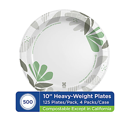Dixie® Paper Plates, 10", Pathways, Carton Of 500 Plates