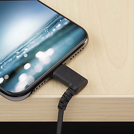 StarTech.com 1 m Lightning Cable 3.30ft LightningUSB Data Transfer ...