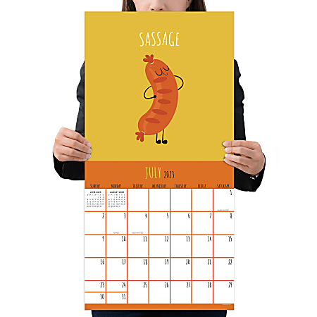 TF Publishing Humor Monthly Wall Calendar 12 x 12 Puns January To ...