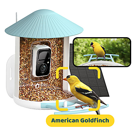 Birdfy Smart Bird Feeder with Camera Solar Powered Free AI Bird ...