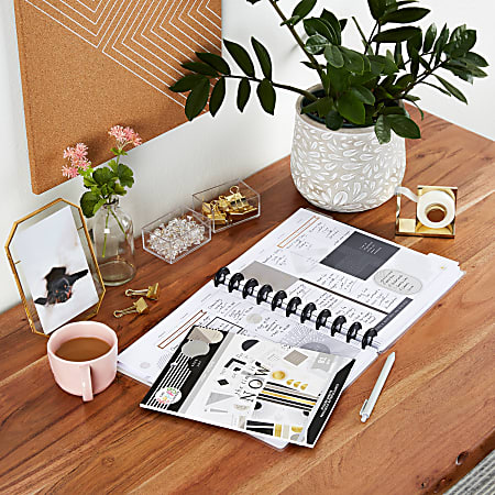 Happy Planner Align Large Value Pack Stickers 9 H x 7 W x 18 D Pack Of ...