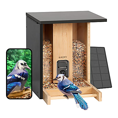 Birdfy Bamboo Bird Feeder with Camera Solar Powered AI Bird Recognition ...