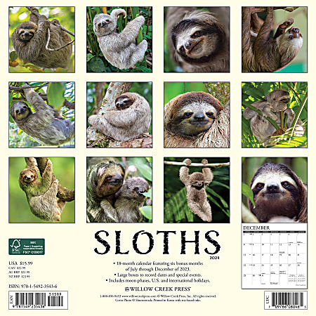 2024 Willow Creek Press Animals Monthly Wall Calendar 12 x 12 Sloths ...