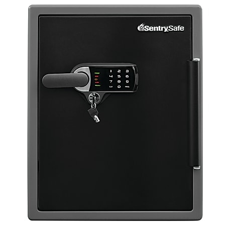 sentry safe v252