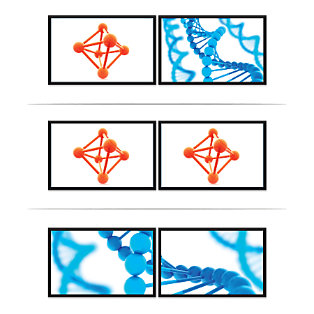 StarTech.com 2 Port Multi Monitor Adapter DisplayPort 1.2 MST Hub Dual ...