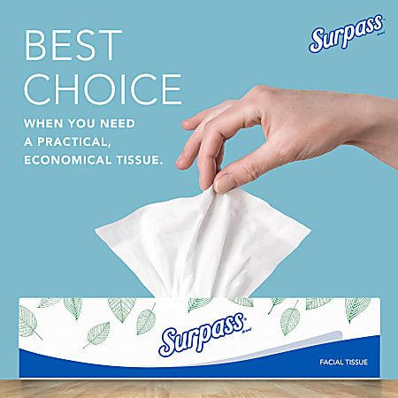 Surpass 2 Ply Facial Tissue Unscented 100 Tissues Per Box Case of 30 ...