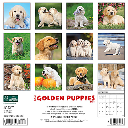 Willow Creek Press Animals Monthly Wall Calendar 12 x 12 Golden Puppies ...