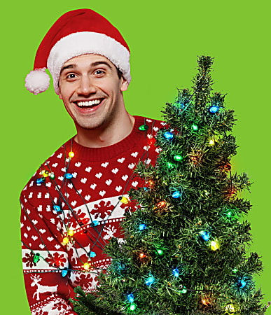 DM Merchandising Lotsa LITES Indoor String Of Holiday Lights 9 ...