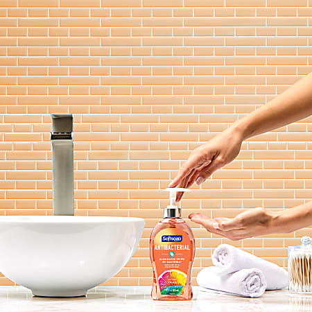 Softsoap Antibacterial Liquid Hand Soap Crisp Clean Scent 11.25oz pump ...