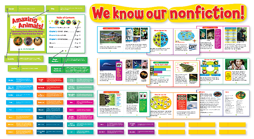 Scholastic Exploring Nonfiction Bulletin Board Set Set Of 52 Pieces ...