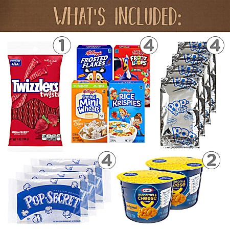 Snack Box Pros Dorm Room Survival Snack Box - Office Depot