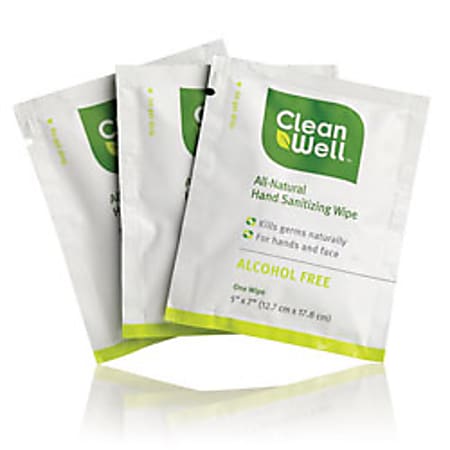 CleanWell Hand Sanitizing Wipes Individually Wrapped Case Of 1000 ...