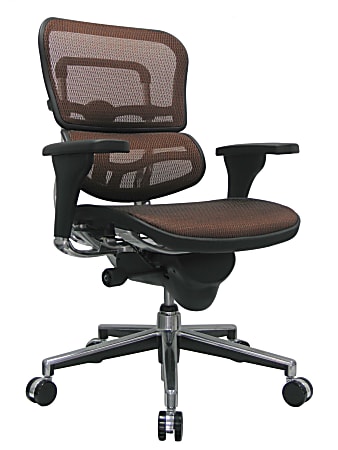 Raynor Ergohuman Mid Back Mesh Chair 45 12 H x 26 12 W Chrome Frame ...