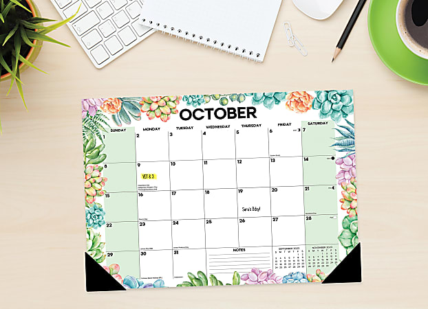 Willow Creek Press Monthly Desk Pad Calendar 17 X 12 Succulent January