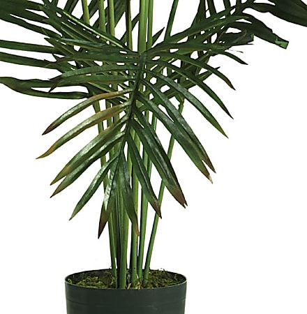 Nearly Natural 5H Paradise Palm Tree With Pot Green - Office Depot