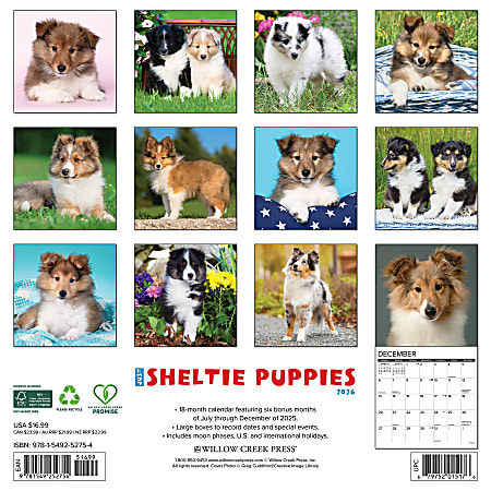 2026 Willow Creek Press Animals Monthly Wall Calendar 12 x 12 Sheltie ...