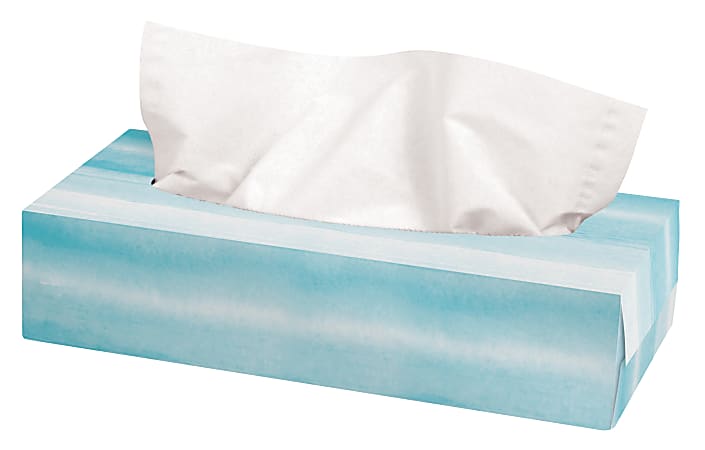 Highmark 2 Ply Facial Tissue Flat Box White 100 Tissues Per Box Case Of ...