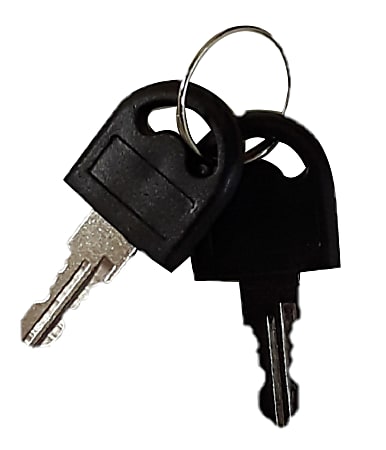 Alpine Paper Towel Dispenser Keys Pack Of 15 Keys - Office Depot