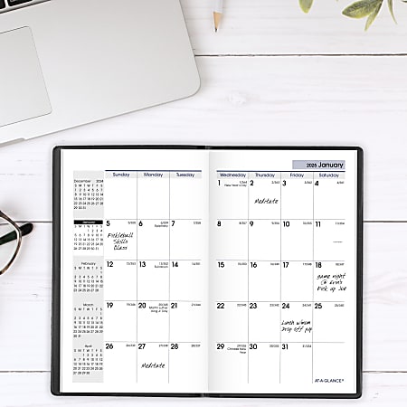 2025 AT A GLANCE DayMinder Monthly Planner 3 12 x 6 Black January 2025 ...