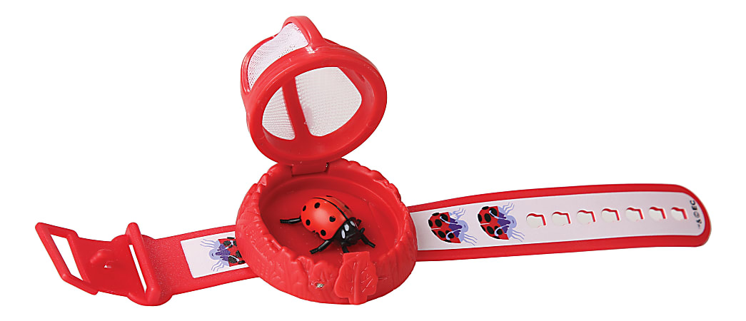 Insect Lore World of Eric Carle 2-Piece Watch-A-Bug Kit, Red, Pre-K to ...