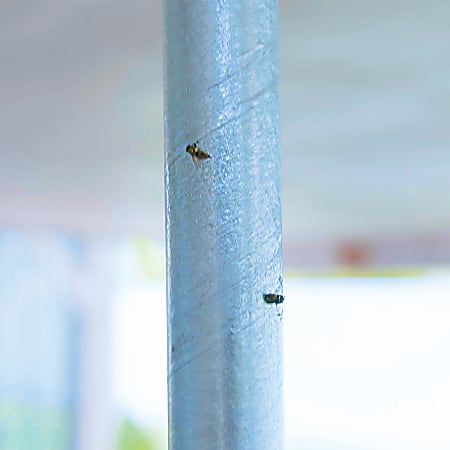 Raid Jumbo Fly Stick 0.8 Oz - Office Depot