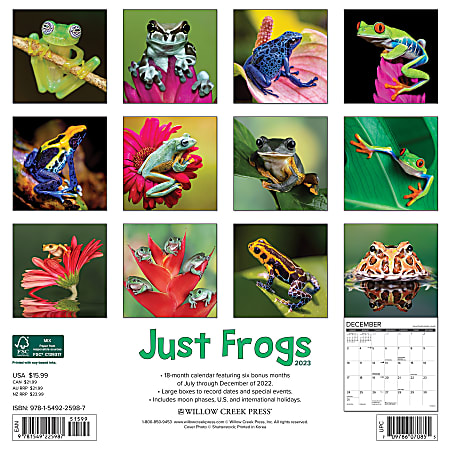 Willow Creek Press Animals Monthly Wall Calendar 12 x 12 Frogs January ...