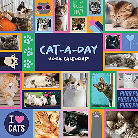 2024 TF Publishing Animal Wall Calendars 12 x 12 Cat A Day January To ...