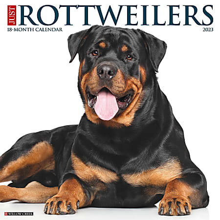 Willow Creek Press Animals Monthly Wall Calendar 12 x 12 Rottweilers ...