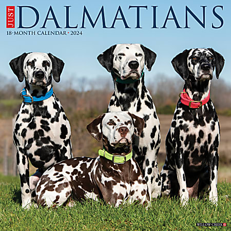 2024 Willow Creek Press Animals Monthly Wall Calendar 12 x 12 Just ...