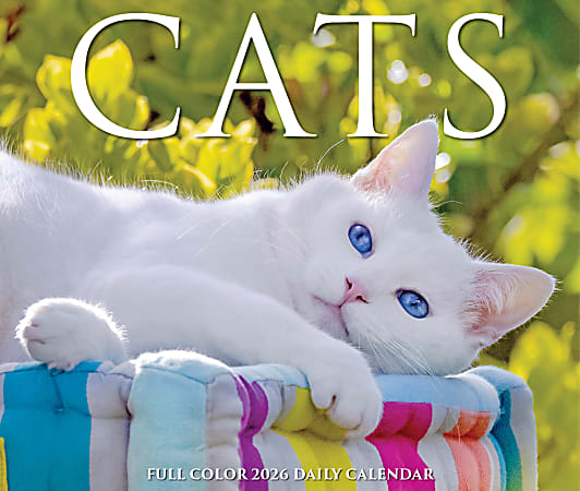 2026 Willow Creek Press Page A Day Daily Desk Calendar 6 14 x 5 12 Cats ...