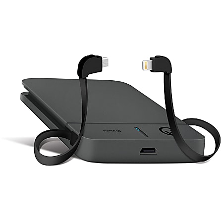 Hypegear Lightning And Micro USB Portable Charger Space Gray 13865 ...