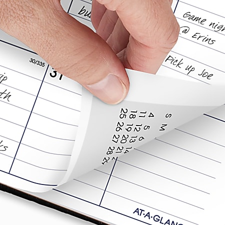 2025 AT A GLANCE DayMinder Monthly Planner 8 x 11 34 Black January To ...