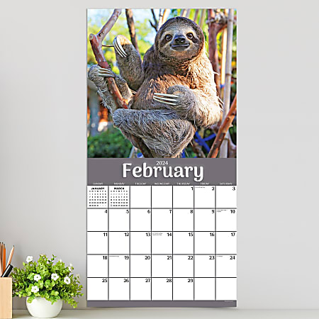 2024 TF Publishing Animal Monthly Wall Calendar 12 x 12 Sloths January ...