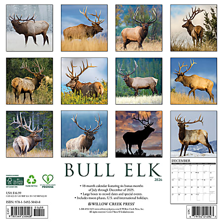 2026 Willow Creek Press Animals Monthly Wall Calendar 12 x 12 Bull Elk ...