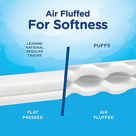 Puffs SoftPack Plus Lotion Facial Tissues 2 Ply White Box Of 96 ...