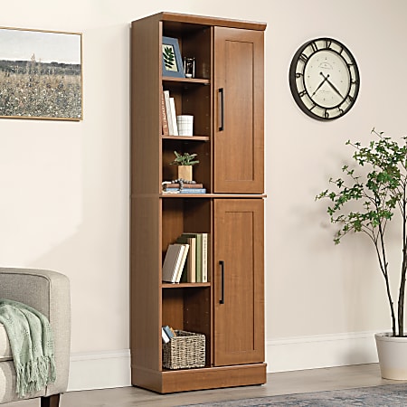 Sauder HomePlus Modern 24 W Storage Cabinet With Adjustable Doors ...