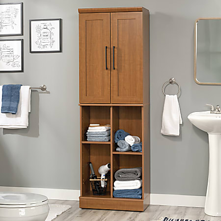 Sauder HomePlus Modern 24 W Storage Cabinet With Adjustable Doors ...