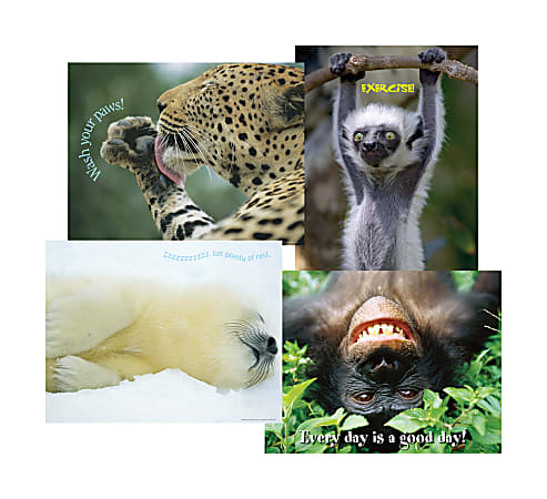 Barker Creek Chart Set Be Healthy 17 x 22 Grades Pre K Pack Of 4 ...