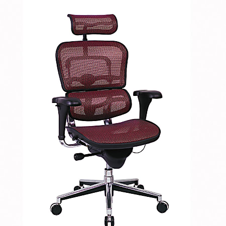 Raynor Ergohuman High Back Mesh Chair 49 35 H x 30 W x 29 D Chrome ...