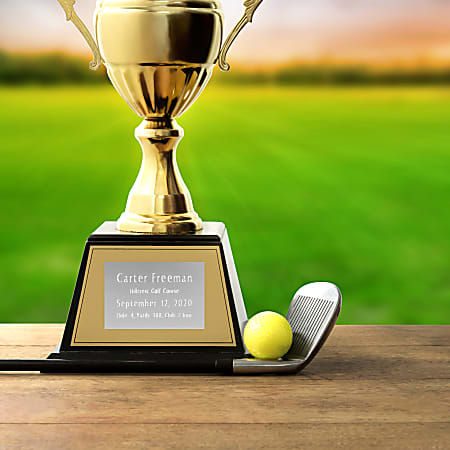 Custom Engraved Silver or Brass Metal Trophy and ID Plates 2 x 3 ...