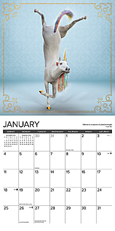 2026 Willow Creek Press Animals Monthly Wall Calendar 12 x 12 Unicorn ...