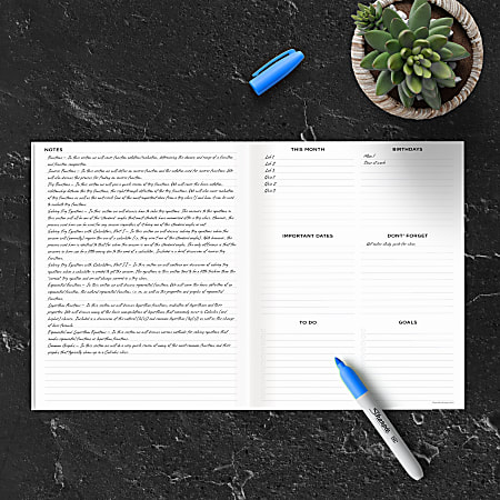 TF Publishing Large Monthly Academic Planner 9 x 11 Streak July 2022 to ...