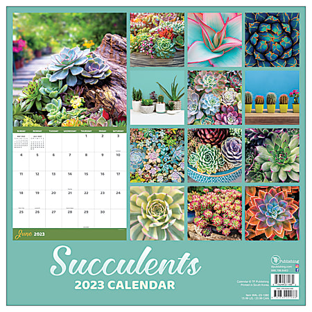 TF Publishing Scenic Monthly Wall Calendar 12 x 12 Succulents January ...