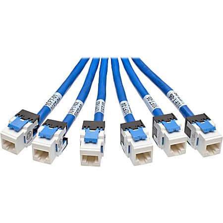 Tripp Lite 6ft Augmented Cat6 Cat6a Pre Terminated Copper trunk Bundle ...
