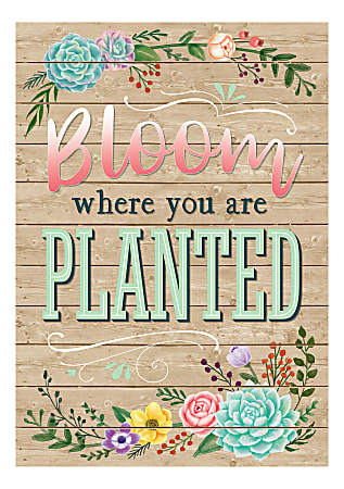 Teacher Created Resources Positive Posters 13 38 x 19 Rustic Pack Of 4 ...