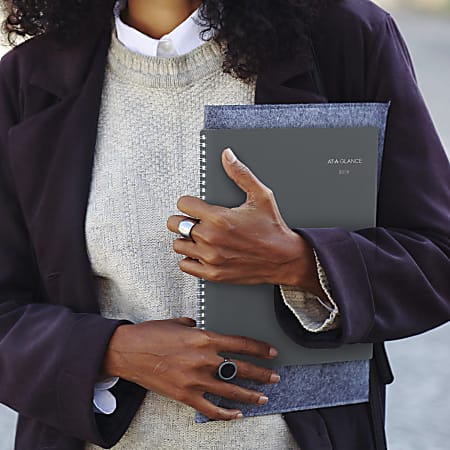 AT A GLANCE DayMinder 2026 Weekly Monthly Appointment Book Planner Gray ...